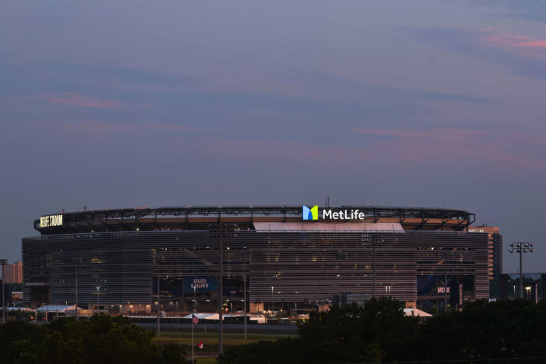 Volunteers needed for 2026 FIFA World Cup at MetLife Stadium: What to know