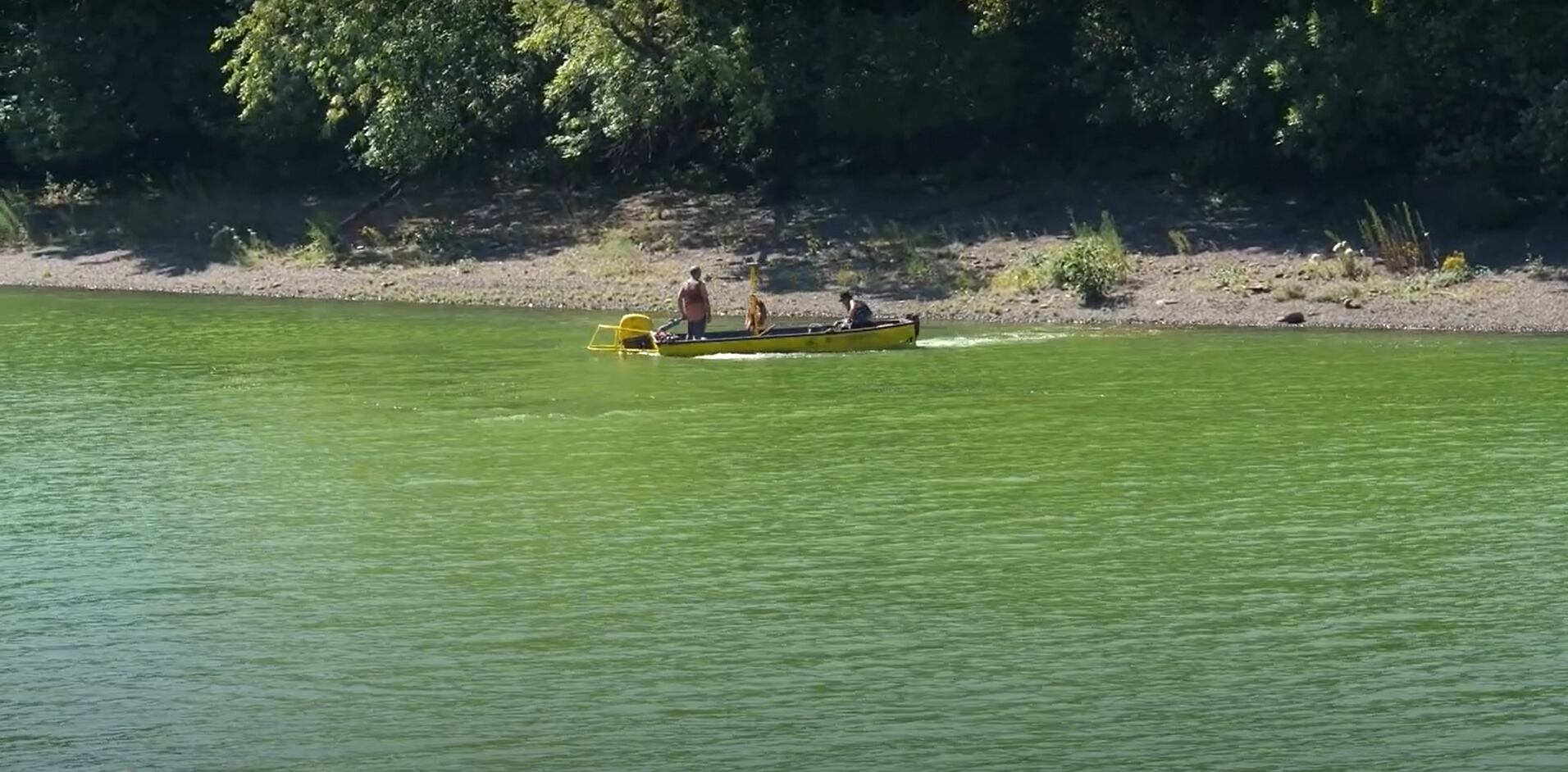 Health officials warn of algae bloom on Ross Island Lagoon, parts of ...