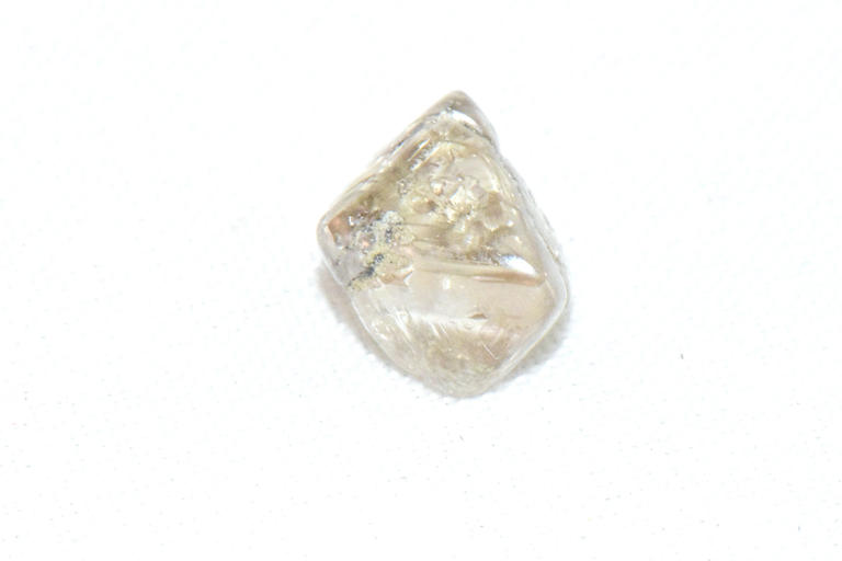 Woman saw a ‘spiderweb’ in an Arkansas park and decide to kick it. It ...