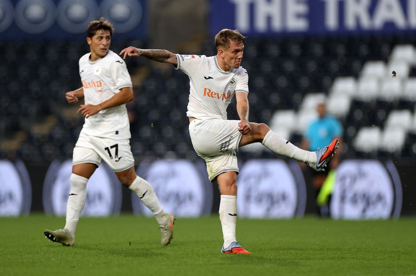 Pleasing Swansea City player ratings as summer signing shines bright in ...