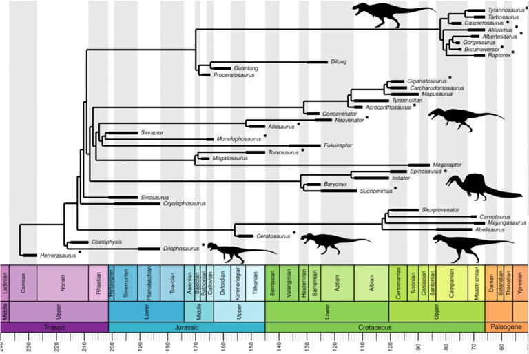 How did the T. rex’s bite force compare to the largest carnivorous ...