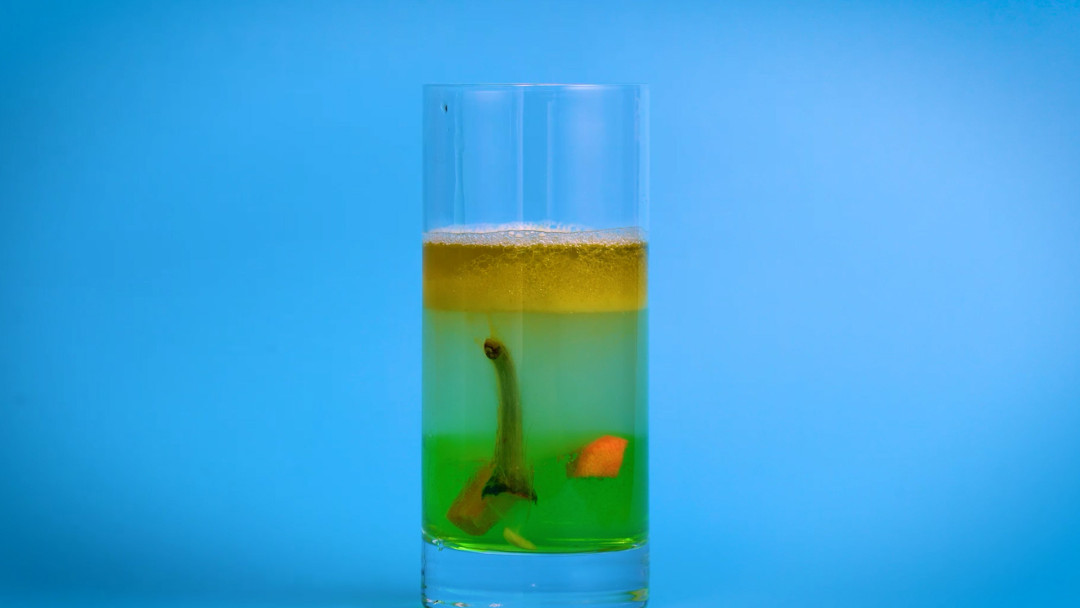 Cool Vegetable Experiments For Everyone