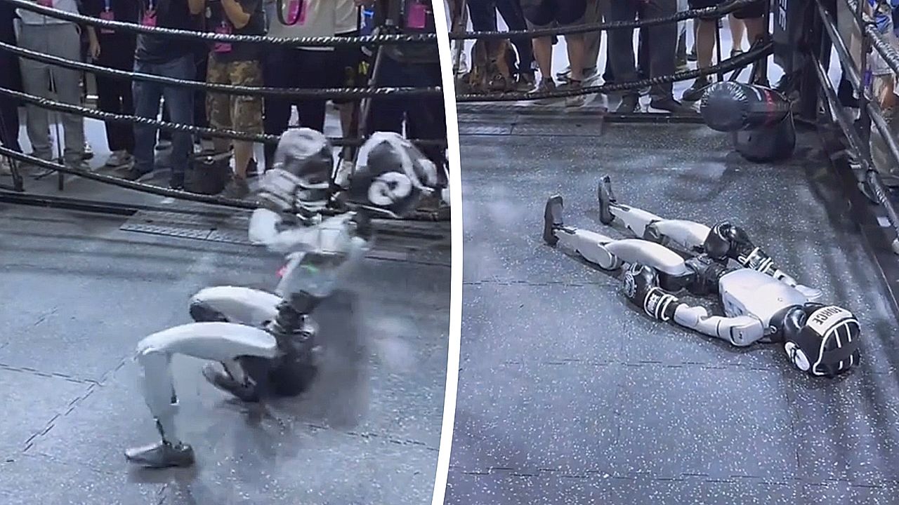 Robo KO! Boxing robot knocks itself out in hilarious sparring fail