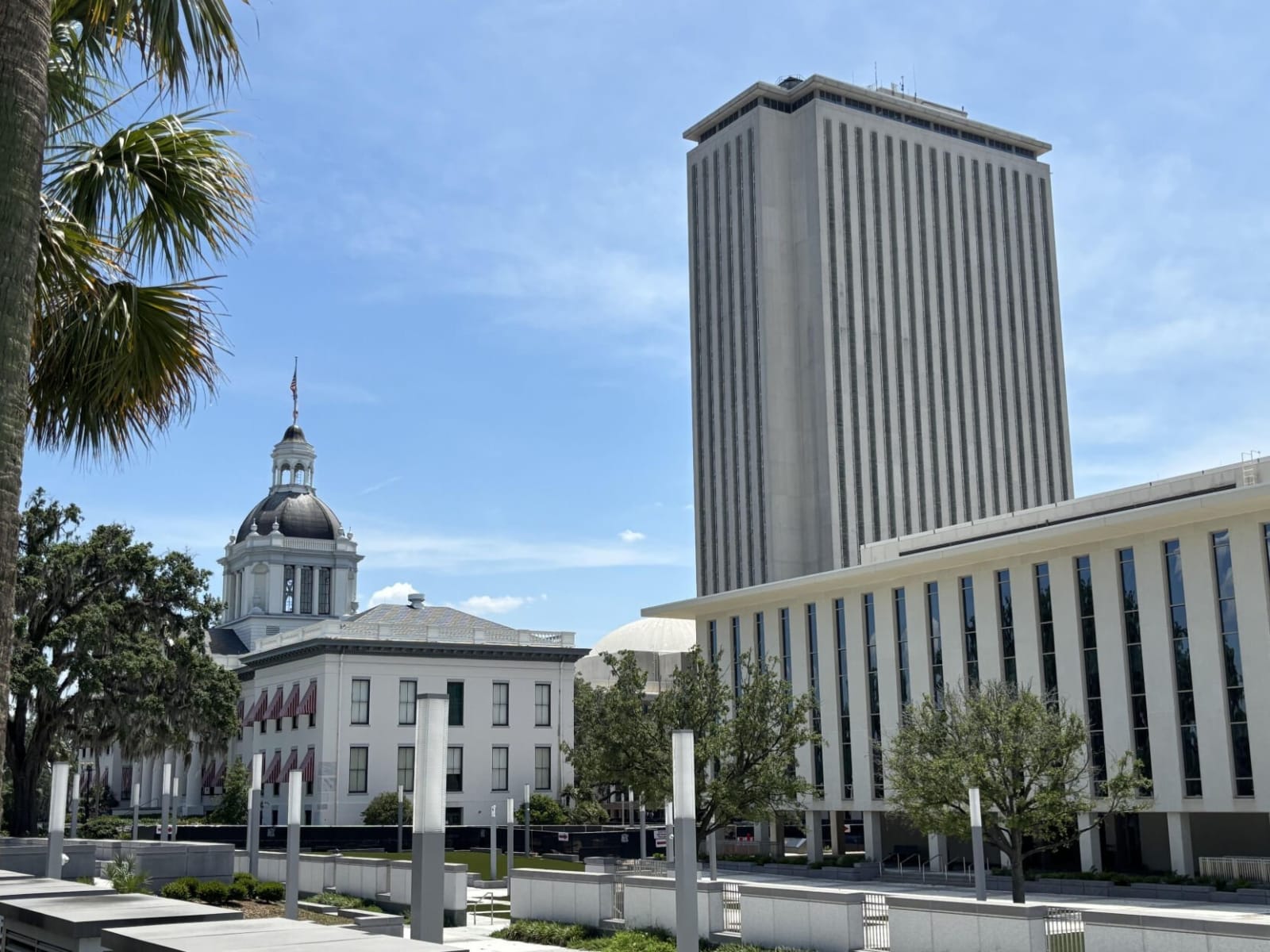 Collins tapped for Florida lieutenant governor