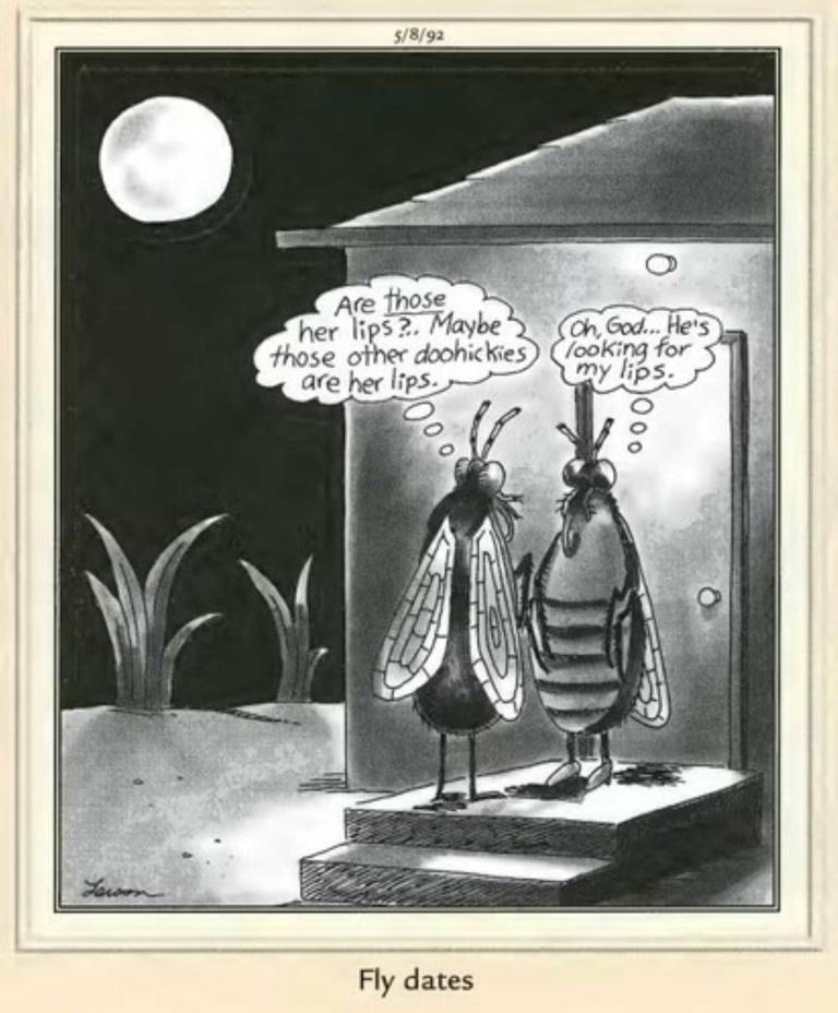 10 Funniest Far Side Comics About Dating Disasters