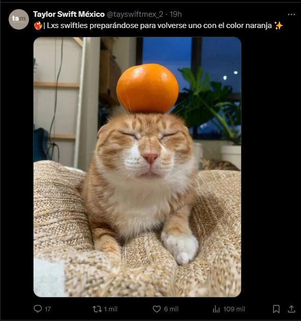 Nuevo álbum de Taylor Swift; los mejores memes que dejó el anuncio de ...