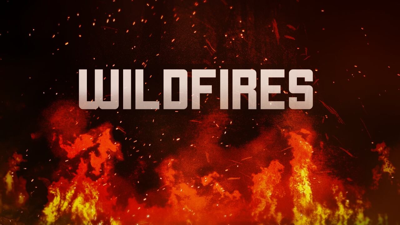 Wildfire latest: New fire started near Rio Blanco and Routt County
