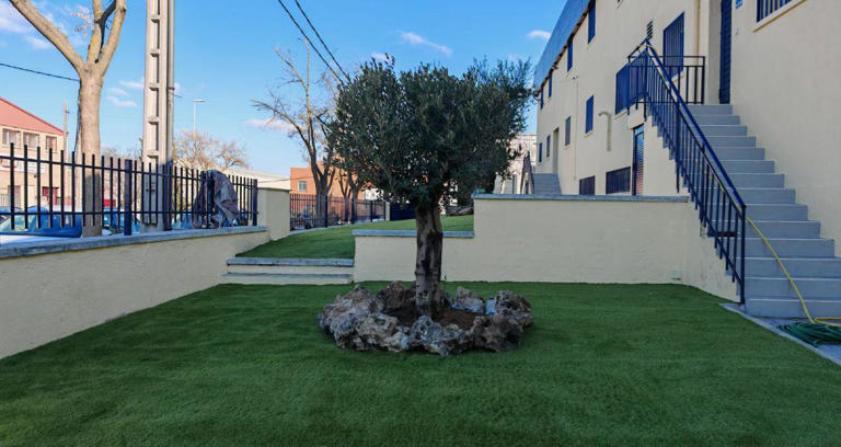 Cómo crear una rocalla en el jardín: guía completa con ubicación ...
