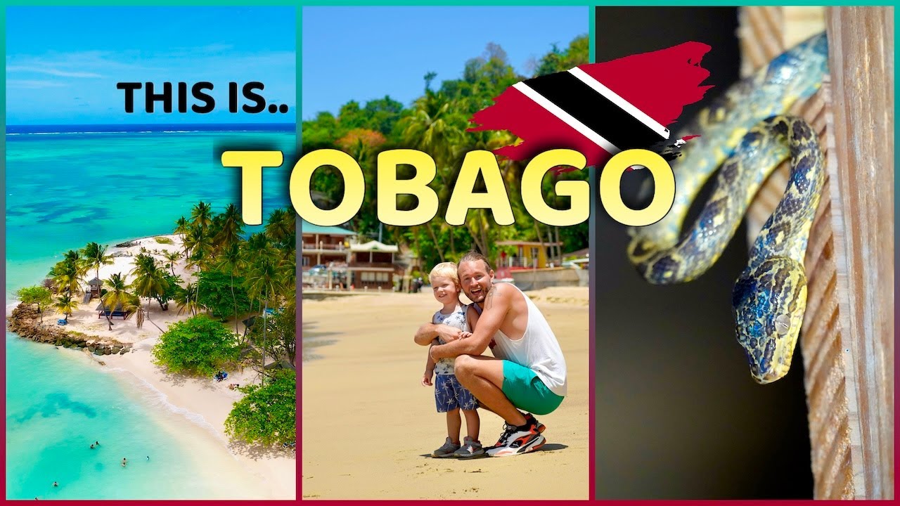 Tobago Travel Guide | Top Sights and Beaches in the Caribbean