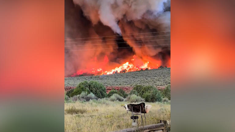 87-year-old Meeker man loses home in Elk fire: 2nd major fire disaster ...