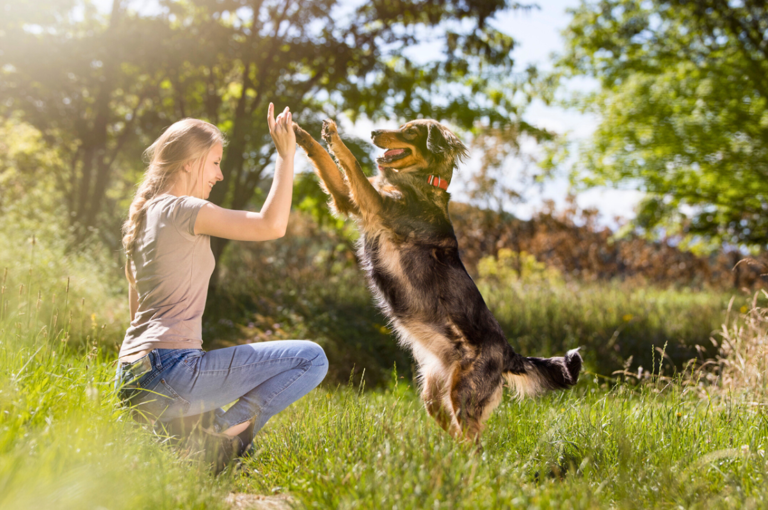 Is Your Dog a Righty or a Lefty? Here’s How to Tell!