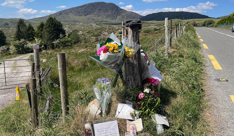 TD slams ‘murder tourism selfies’ at home of Kerry farmer Michael Gaine
