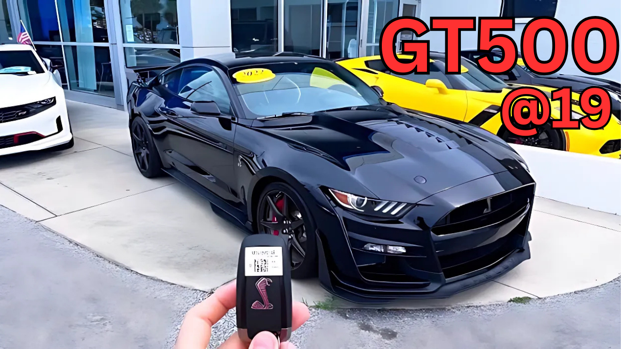 Buying a GT500 at 19 – My Dream Car Journey