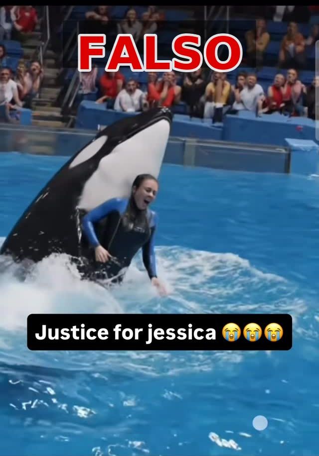 ¿Mató una orca a la entrenadora Jessica Radcliffe? La verdad tras la ...