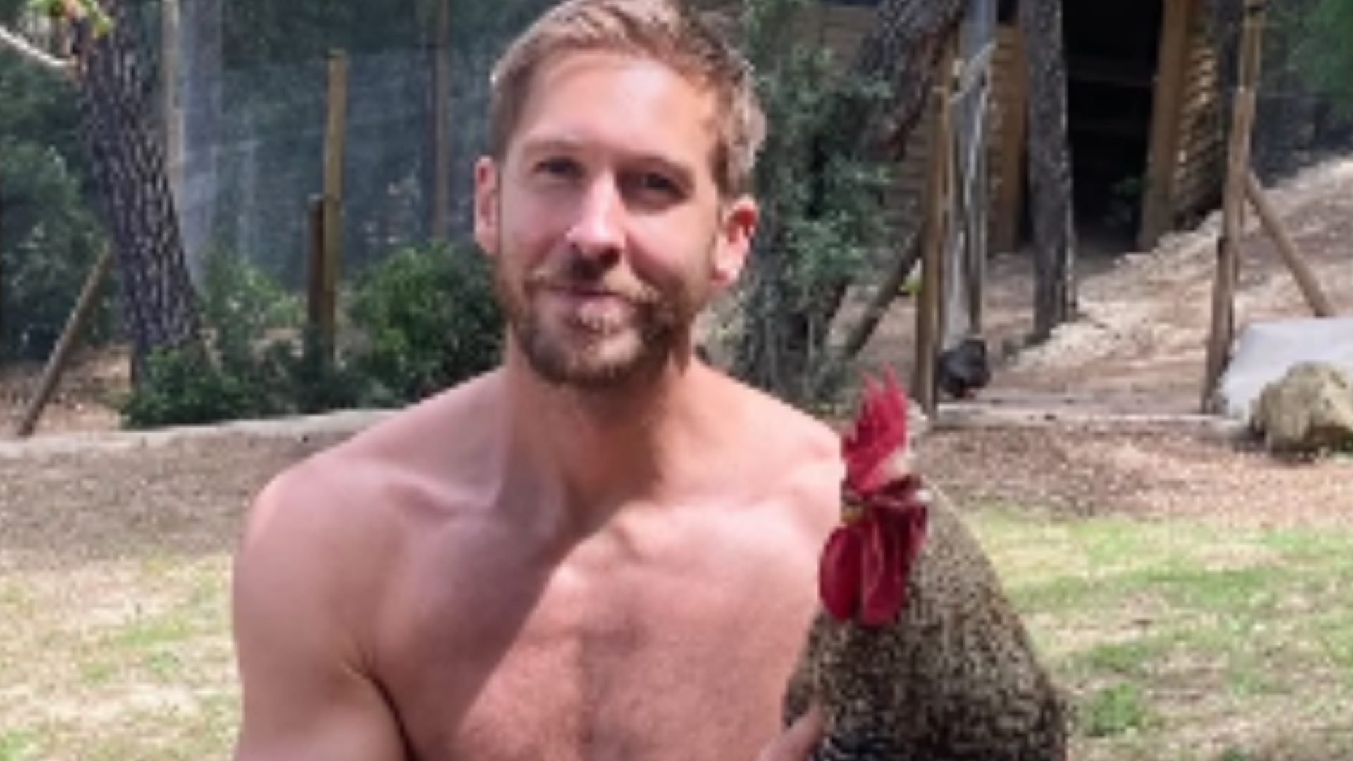 Calvin Harris 'gutted' after pet rooster killed