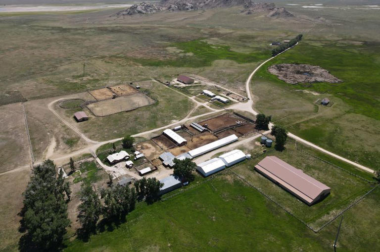 Massive property that's double the size of London goes on sale for £59m