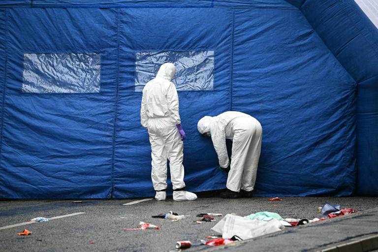 Police told to reveal ethnicity of suspects under interim guidance