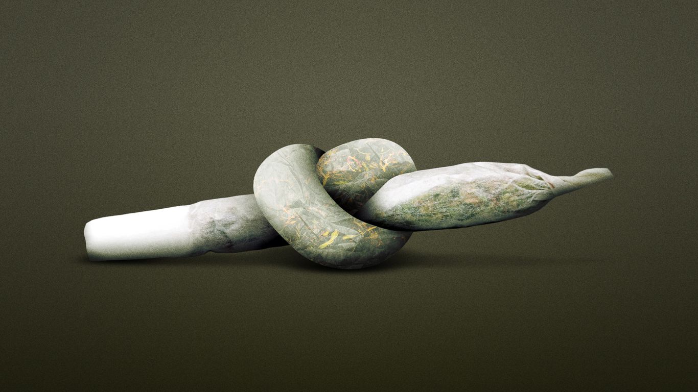 MAGA rails against "pothead" culture as Trump weighs weed reform