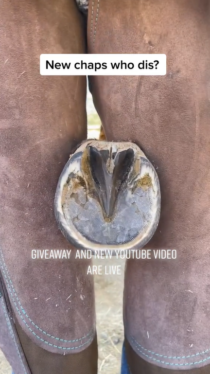 Hoof Transformation — Satisfying Farrier Trim & ASMR Soundscapes