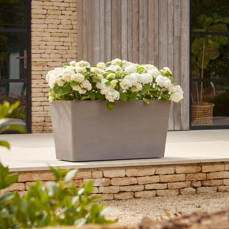 Wheeled Garden Planters are a Godsend for Tricky Plants You Want to ...