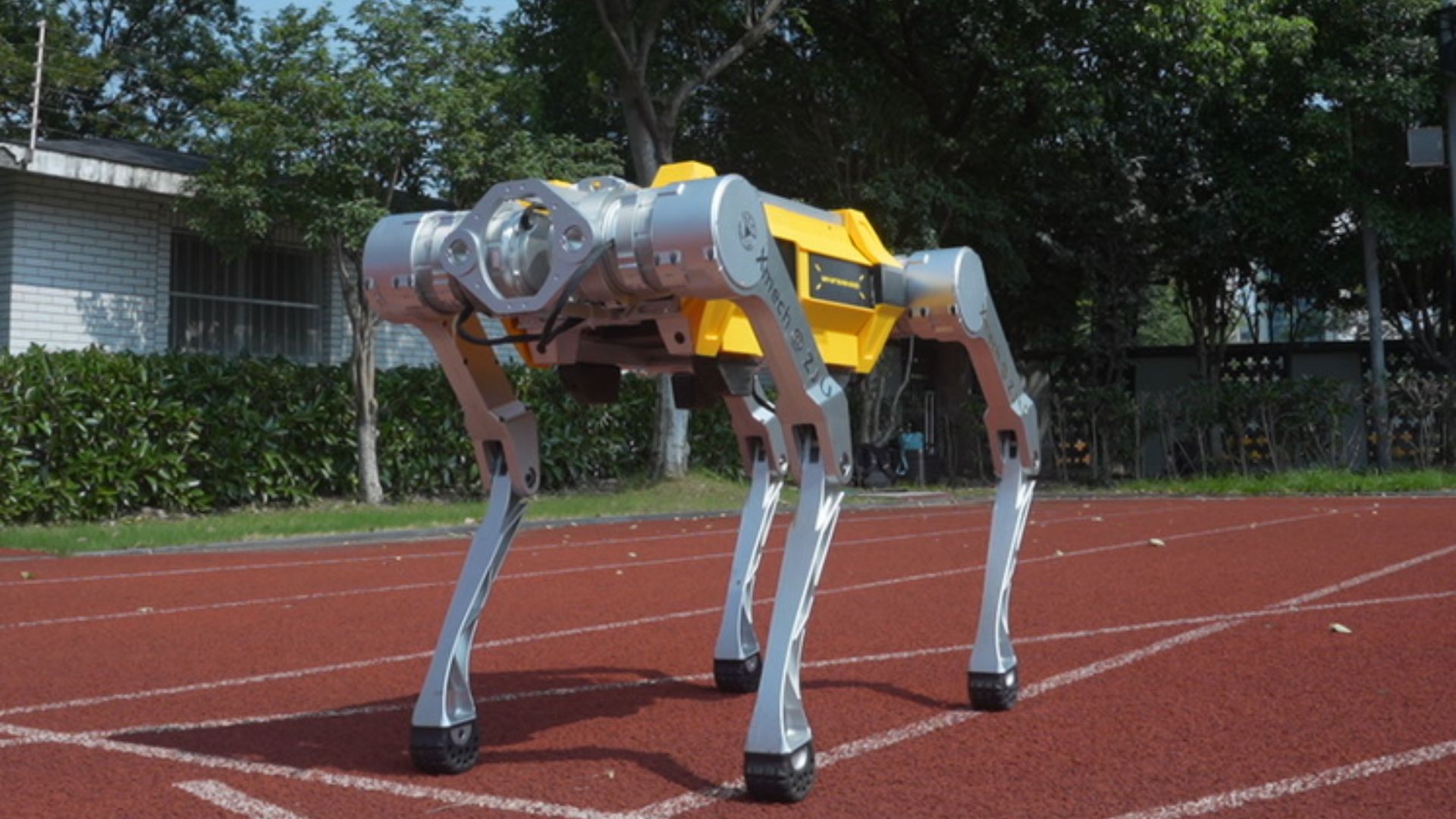 China’s robot dog sets Guinness World Record with 328-foot run in 16.33 ...