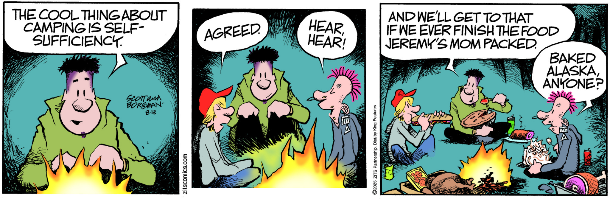 Zits by Jerry Scott and Jim Borgman