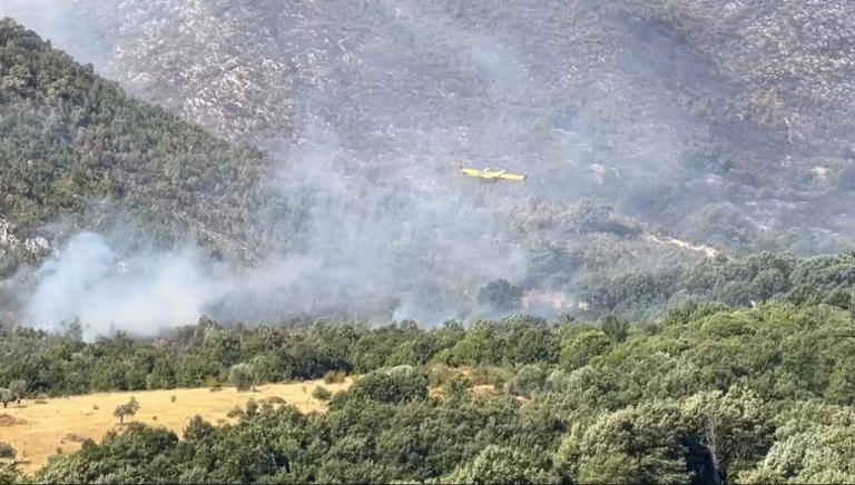 Arnavutluk’ta orman yangını: 1 ölü, 8 yaralı