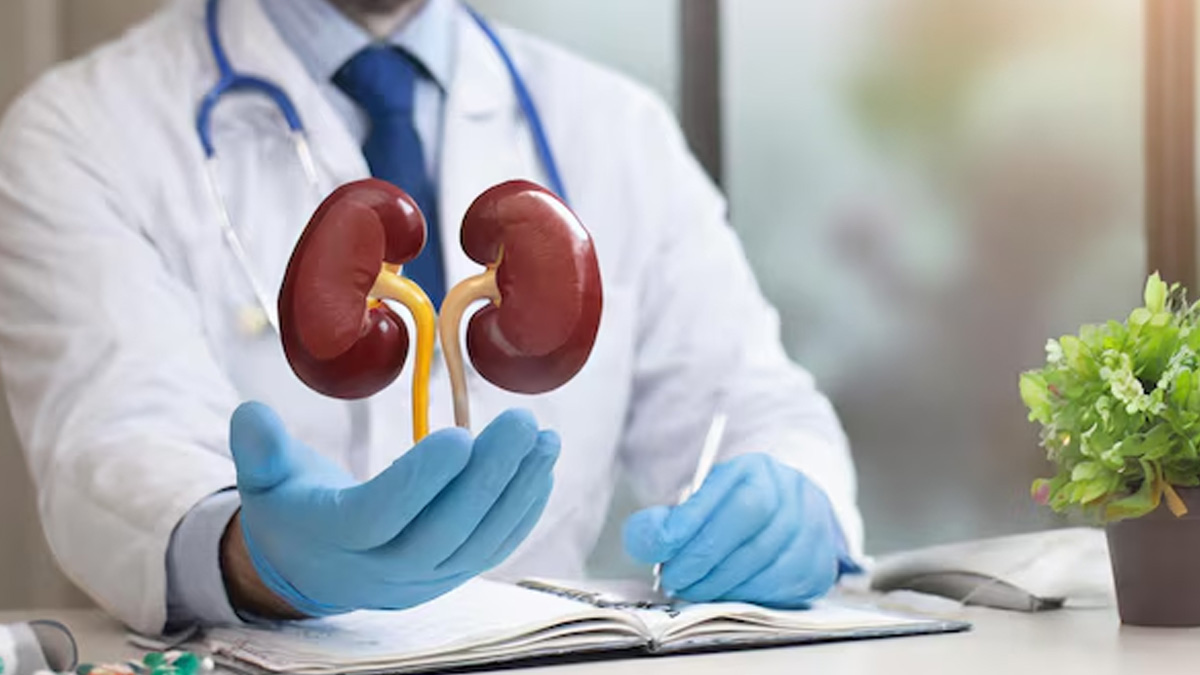 When Kidney Infections Don't Respond To Antibiotics: What It Means And ...