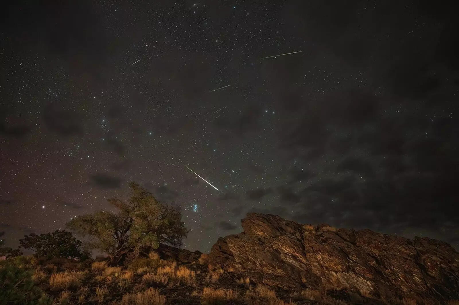 Perseids meteor shower 2025: Regions and US territories that will miss ...