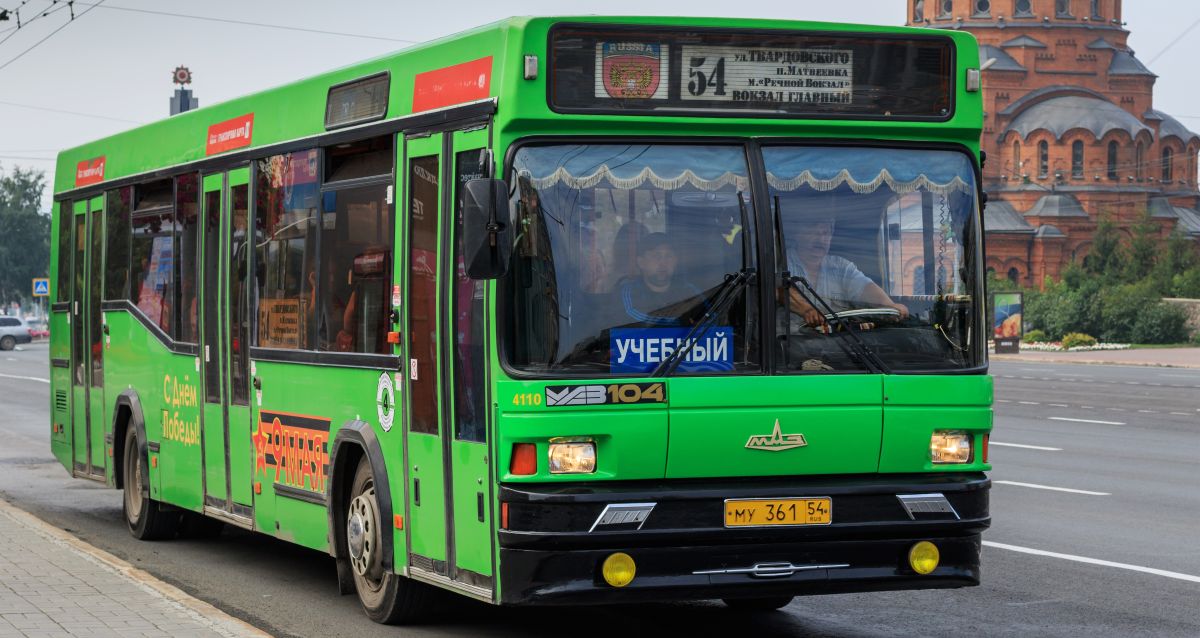 How to prepare for the global rat crisis of 2025