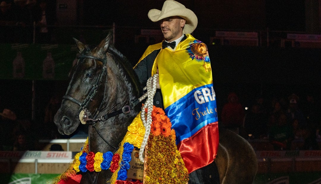 Tambo de Dos Aguas: toda una leyenda del Caballo Criollo Colombiano ...