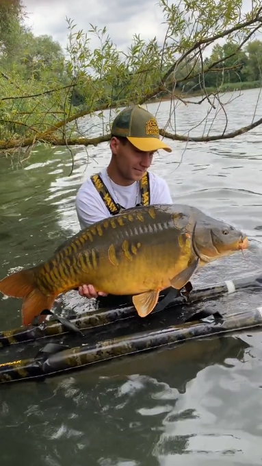 Massive Carp Catch Caught on Camera – This Viral Fishing Clip Is Wild!