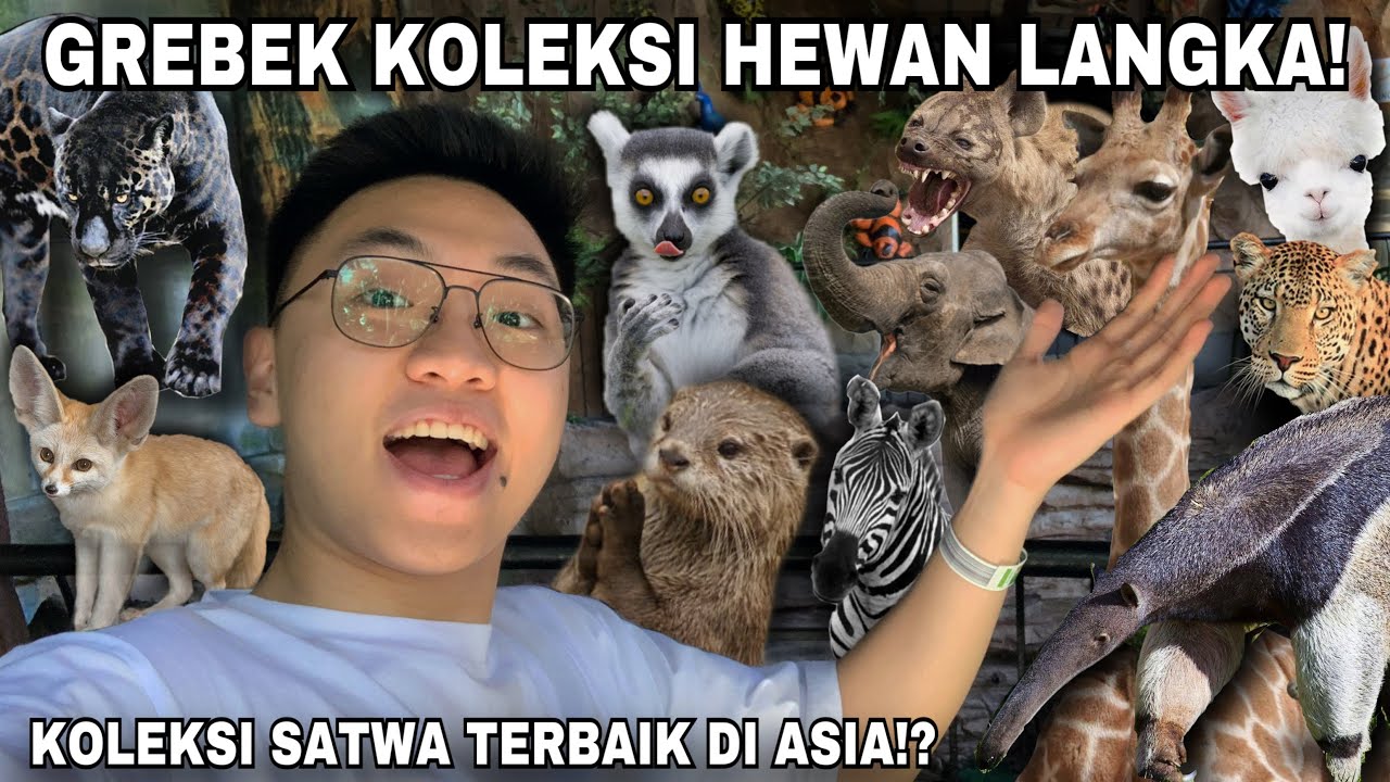 Surga Hewan-Hewan Langka di Jawa Timur!