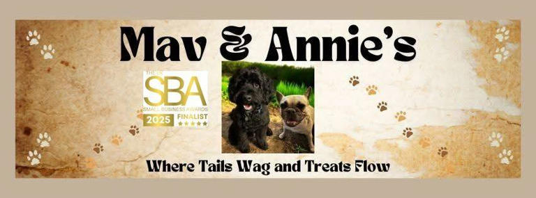 Mav & Annie’s Pet Store in St Annes famed for dog friendly cakes in ...