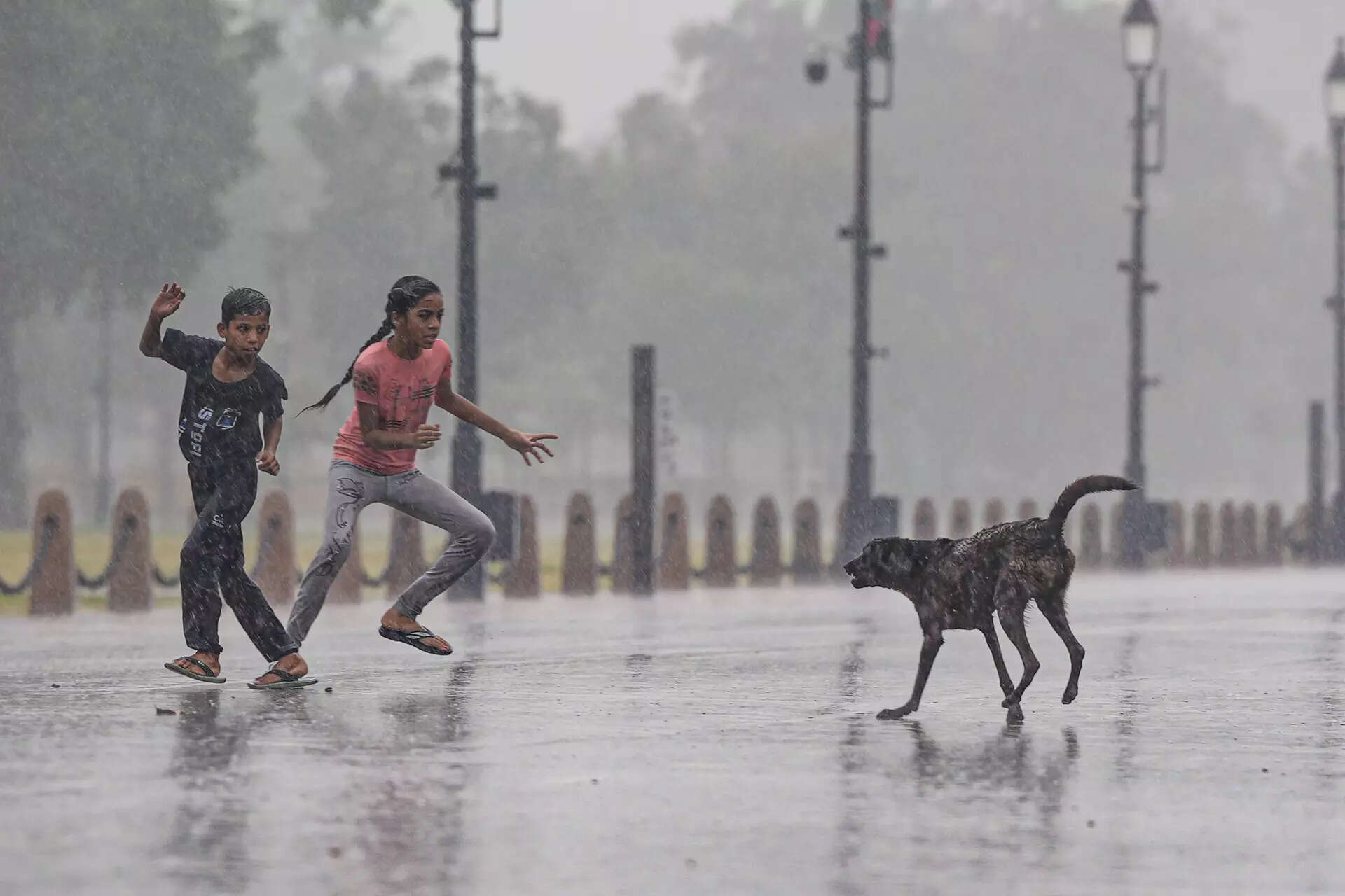 37,00,000 a year, 10,000 per day: The startling scale of dog bites in India
