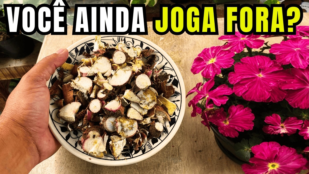Você Joga Fora? Isso Vale Ouro Para Suas Plantas!