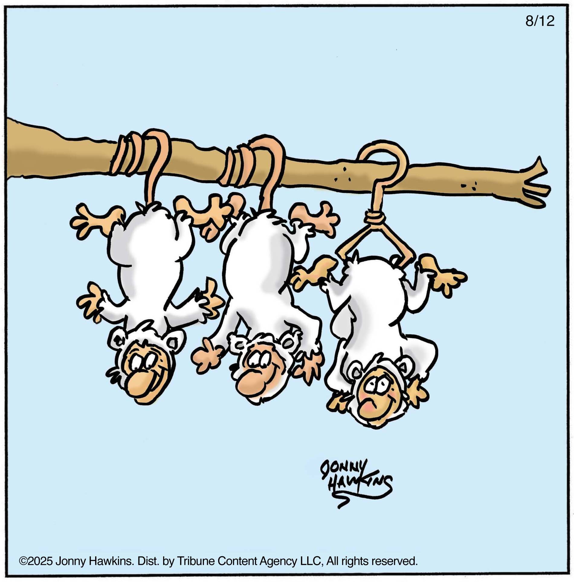 Zoolies by Jonny Hawkins