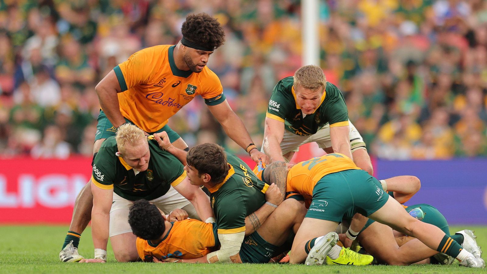 What ex-ref boss expects to see in Rugby Championship after World Rugby ...