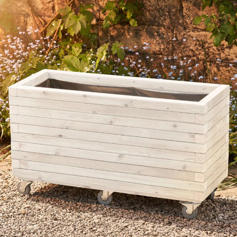 Wheeled Garden Planters are a Godsend for Tricky Plants You Want to ...