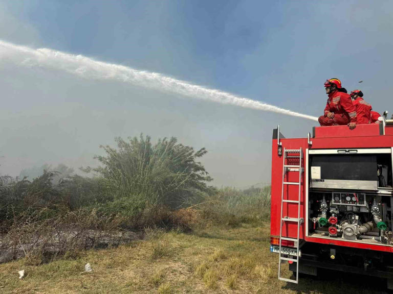 Arnavutluk’ta orman yangını: 1 ölü, 8 yaralı
