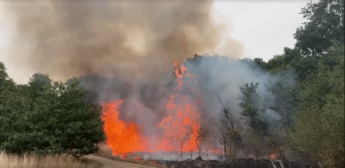 Police probe 'deliberate' wildfire at London park after five blazes ...
