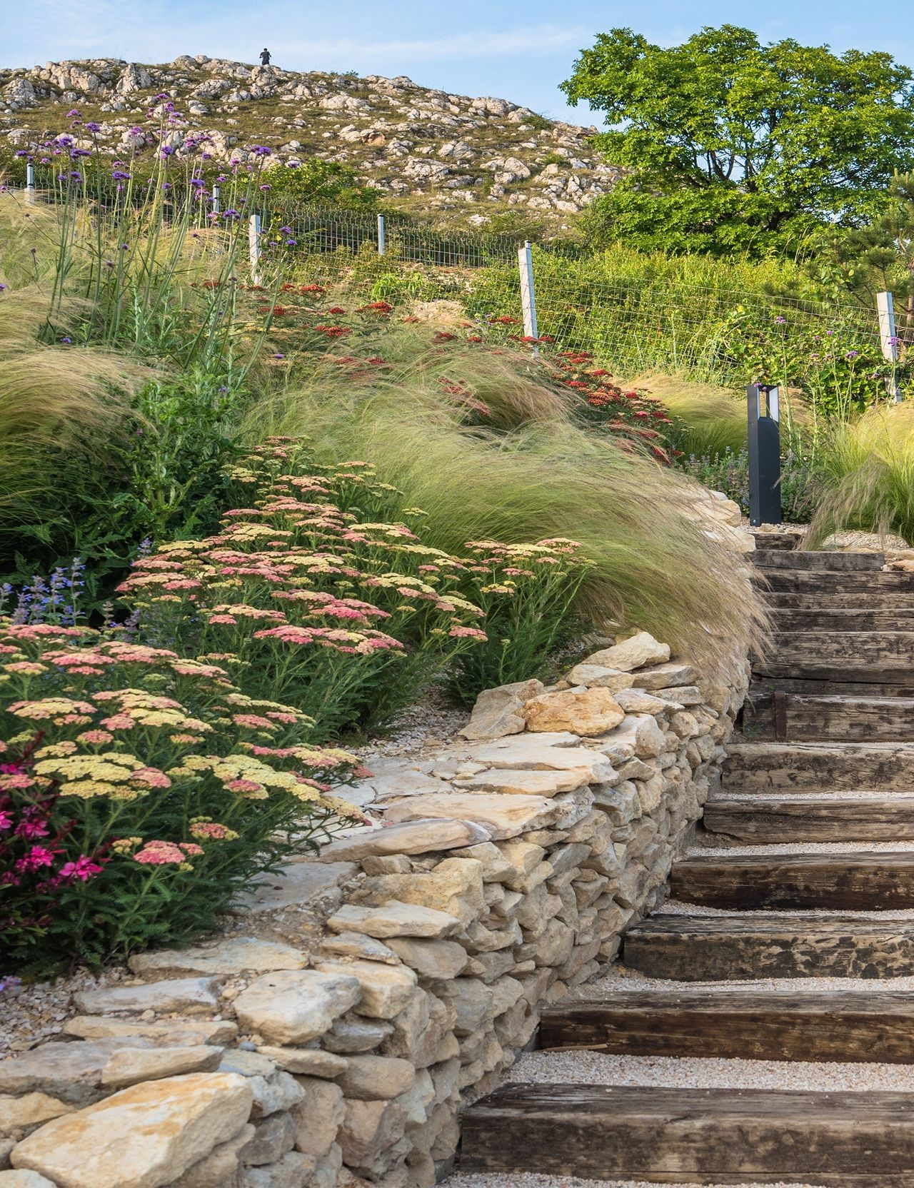 8 plantes pour une rocaille au soleil
