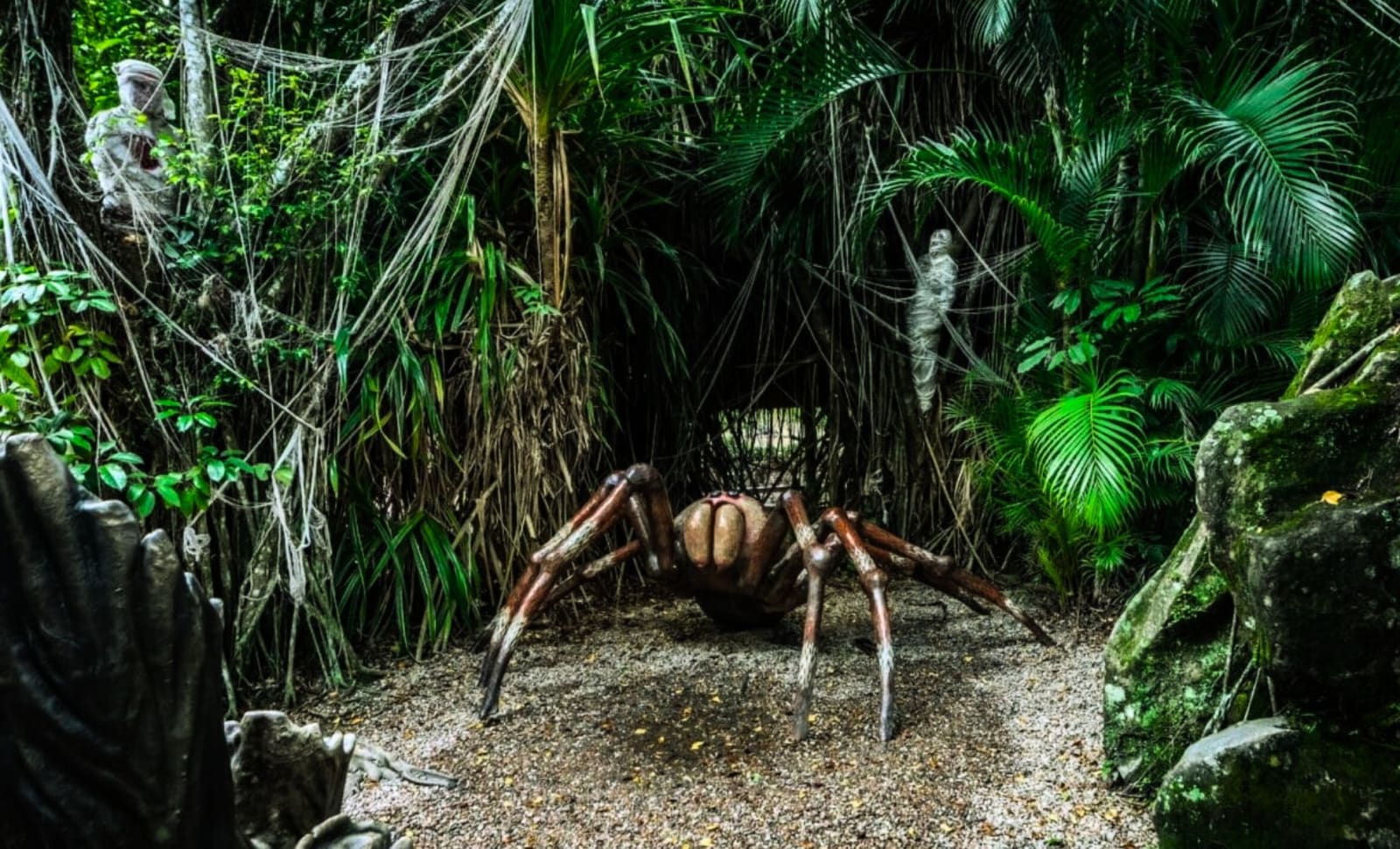 Scientists Uncover a Prehistoric Spider So Massive, It Might Have ...
