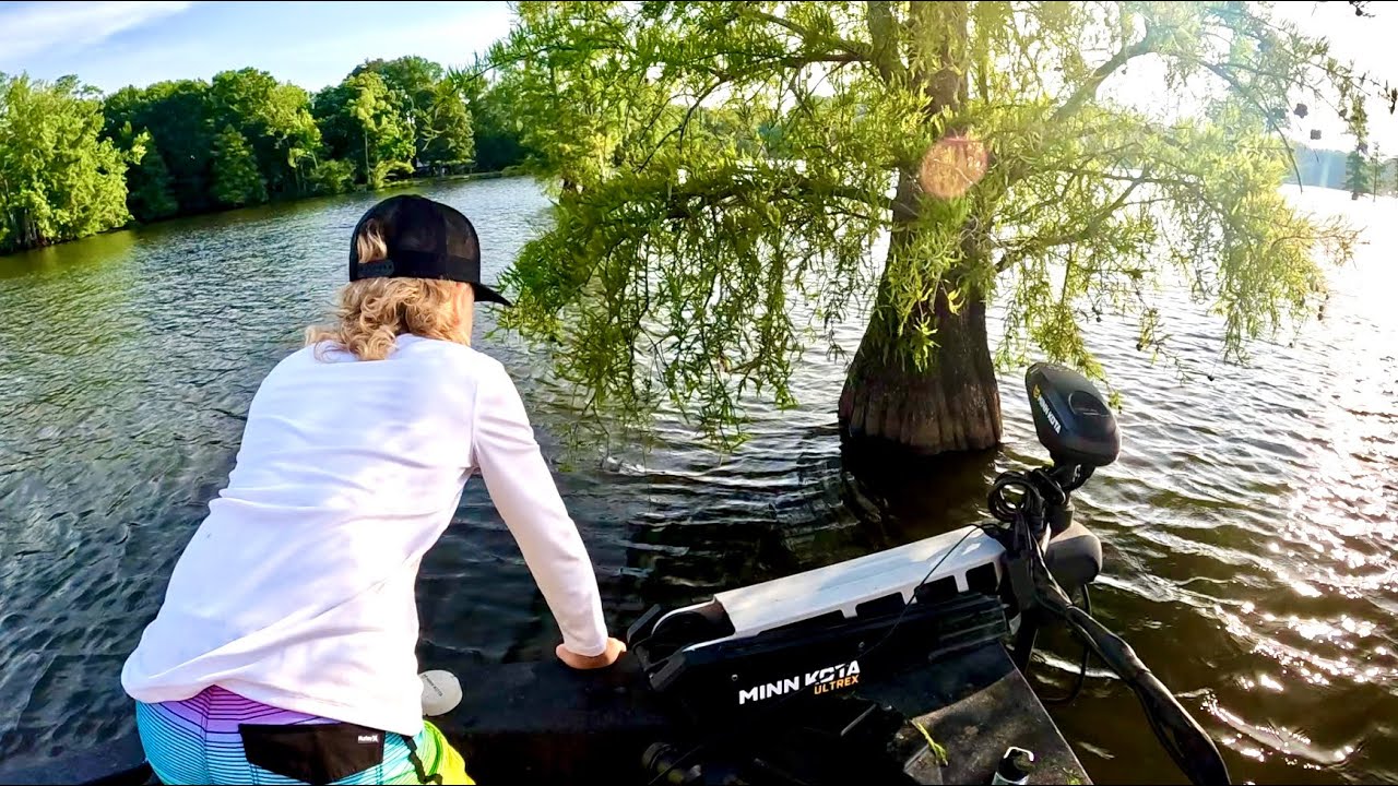 Baiting trees with live bait lands giant catfish