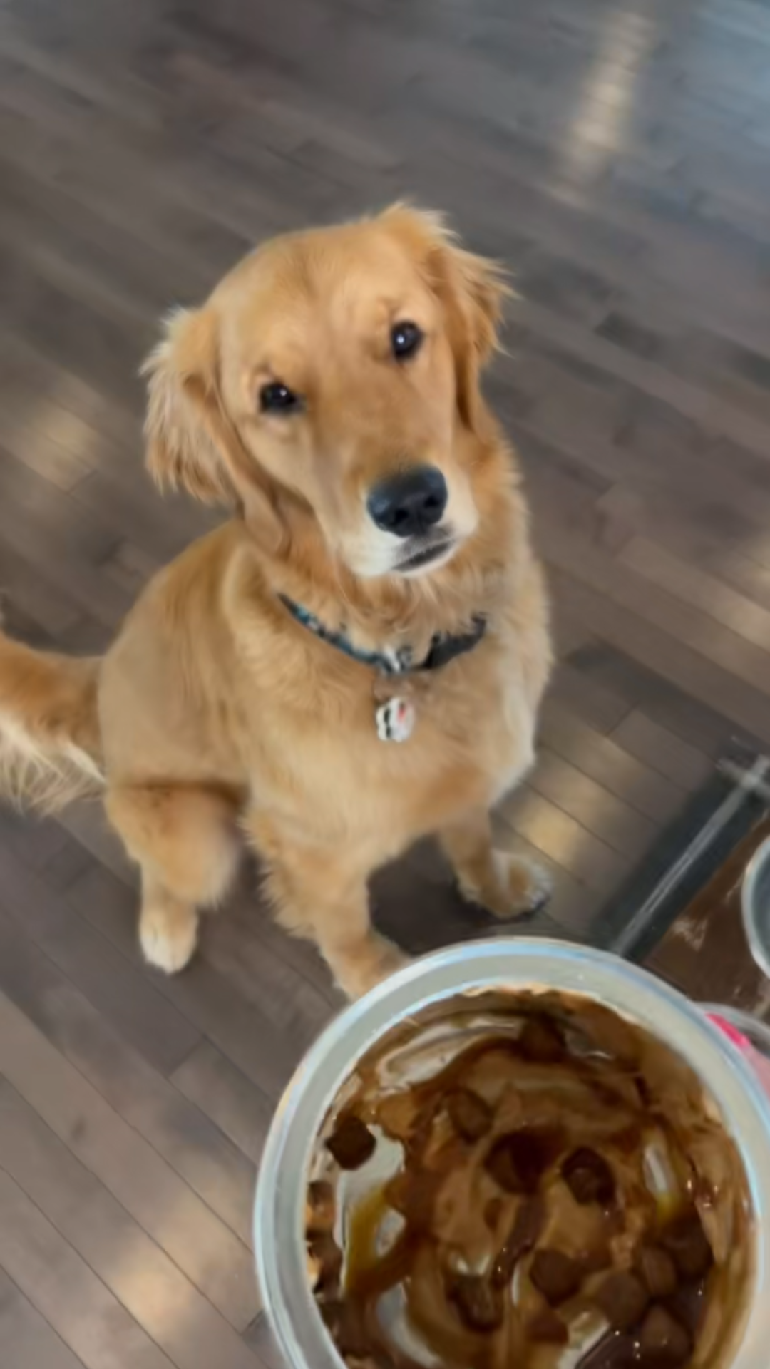 Clever Uses for Empty Jars and Containers for Your Dog