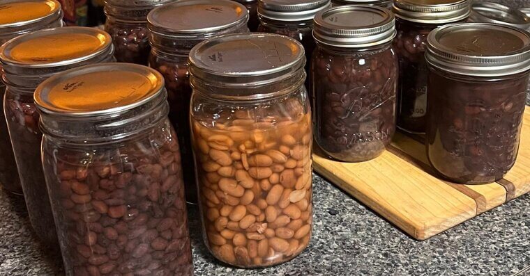 Affordable Canned Foods That Are Staples for Frugal Households