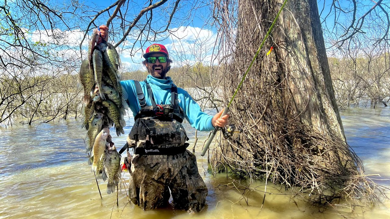 Crappie Swarm Flooded Woods in Spring Frenzy