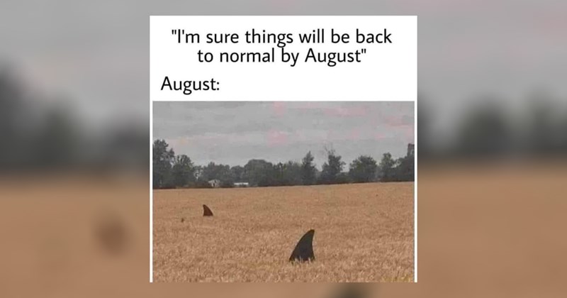 25+ Memes Side by Side by Side