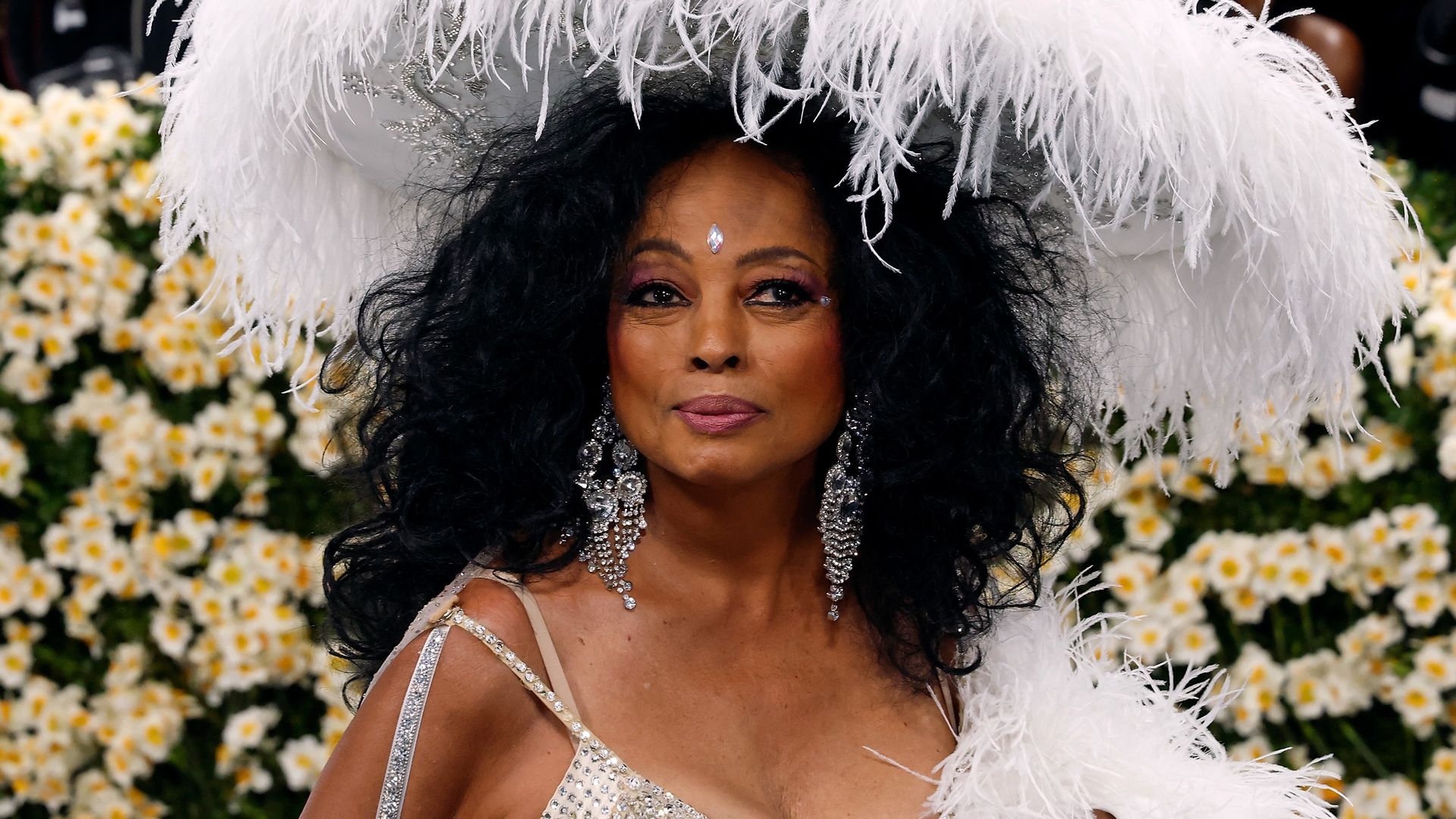 Diana Ross, 81, 'disappoints' fans with last-minute announcement and no ...
