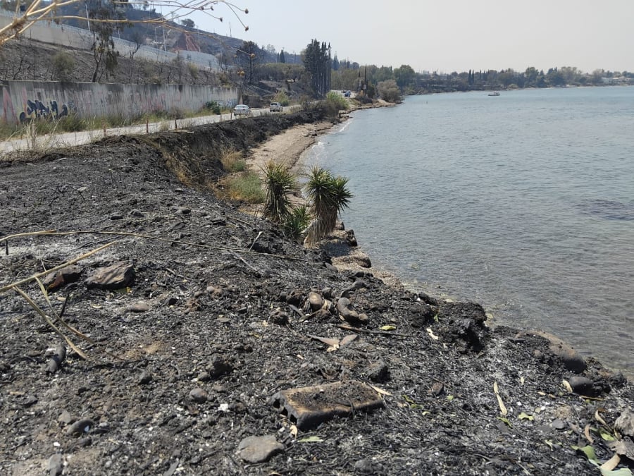 Το σαρωτικό πέρασμα της φωτιάς στην Πάτρα - Οι φλόγες έφθασαν στη ...
